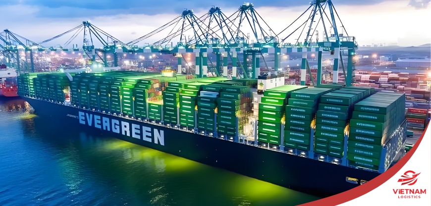 Khám phá 10 hãng tàu container lớn nhất thế giới hiện nay 2026