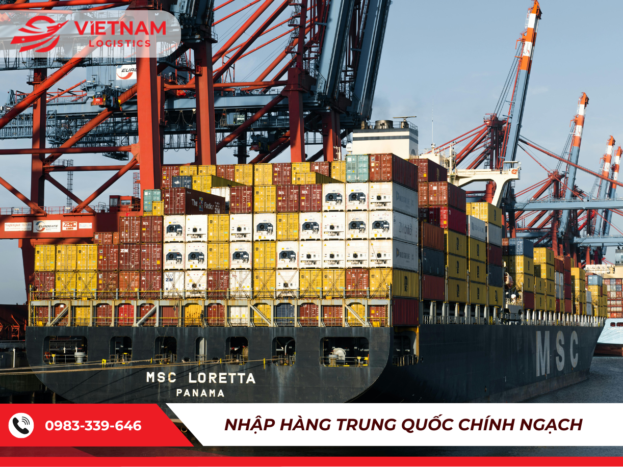 Khám phá 10 hãng tàu container lớn nhất thế giới hiện nay 2026