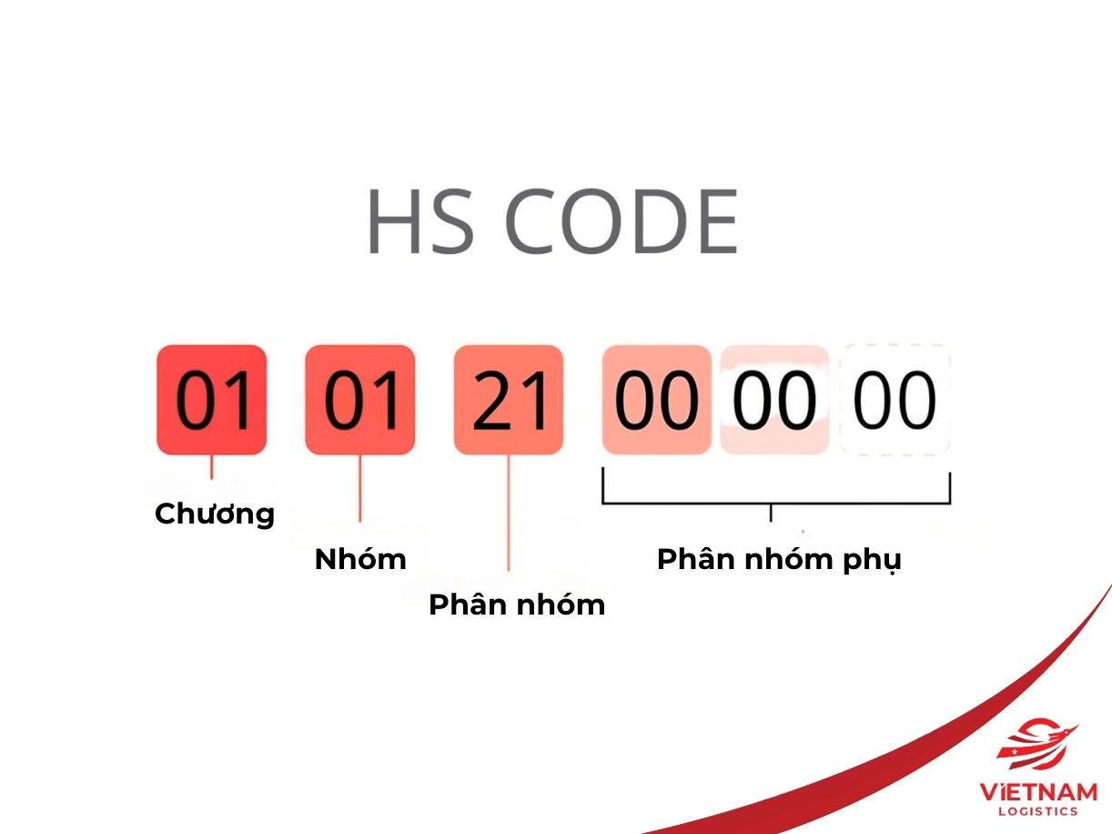 Tìm hiểu về HS Code và vai trò trong xuất nhập khẩu hàng hóa